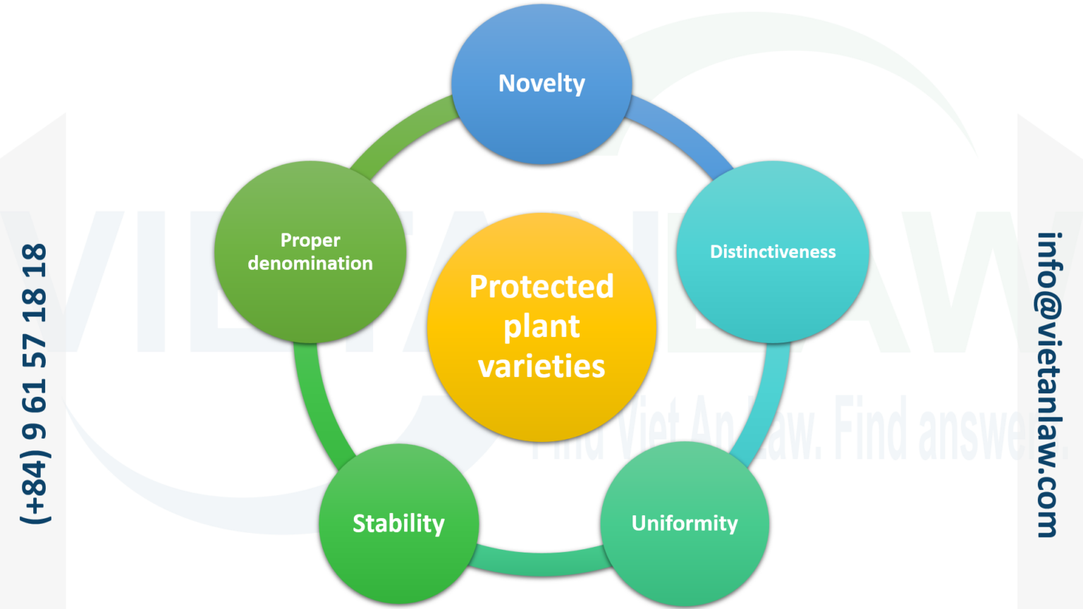 Plant variety protection title in Vietnam - Viet An Law
