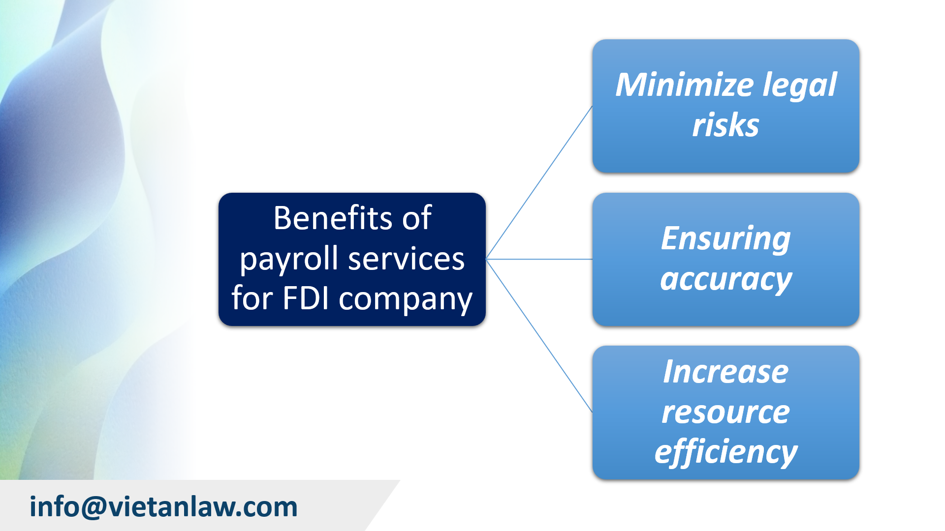 Payroll services for FDI company - Viet An Law