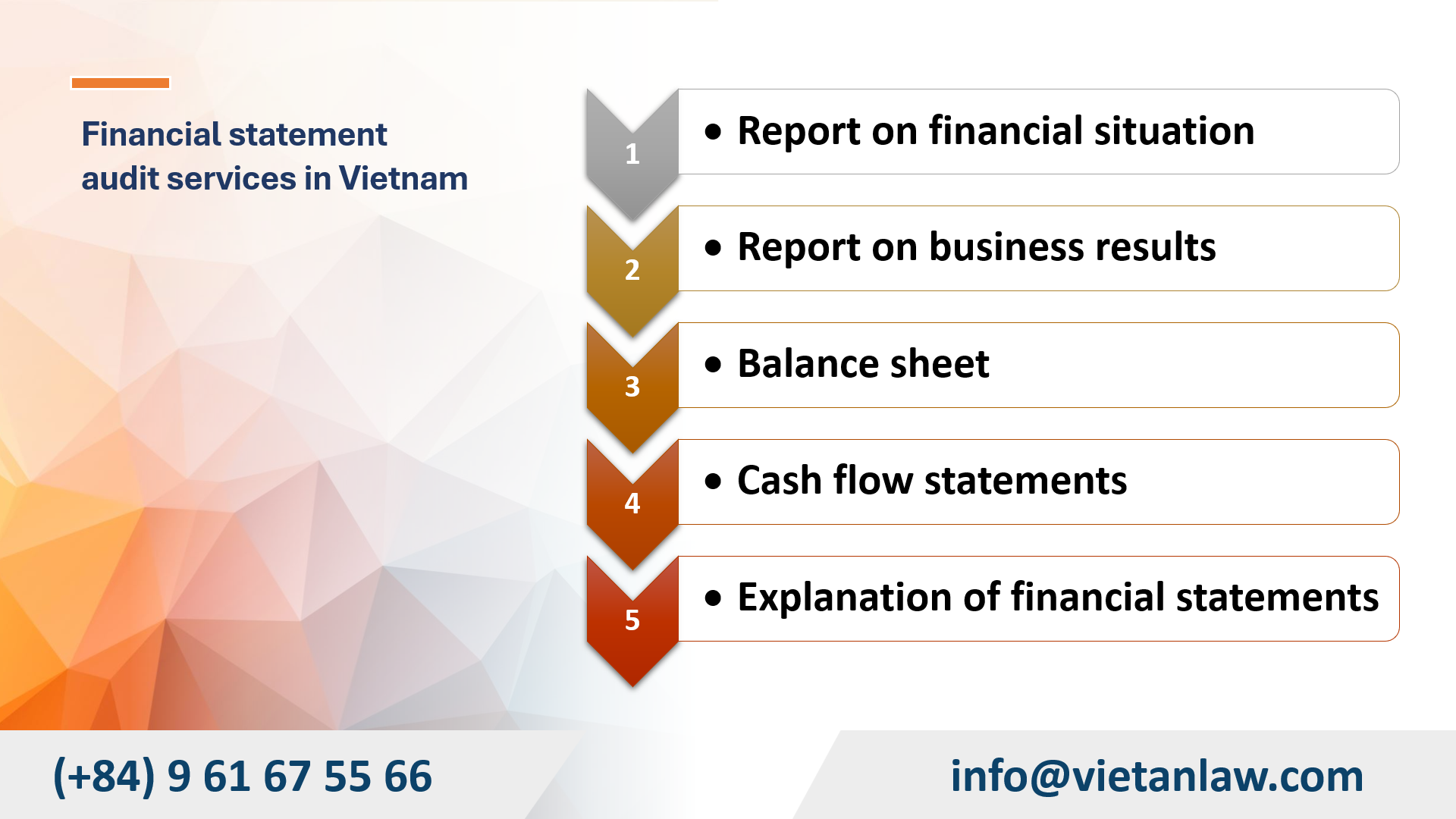 Financial statement audit services - Viet An Law