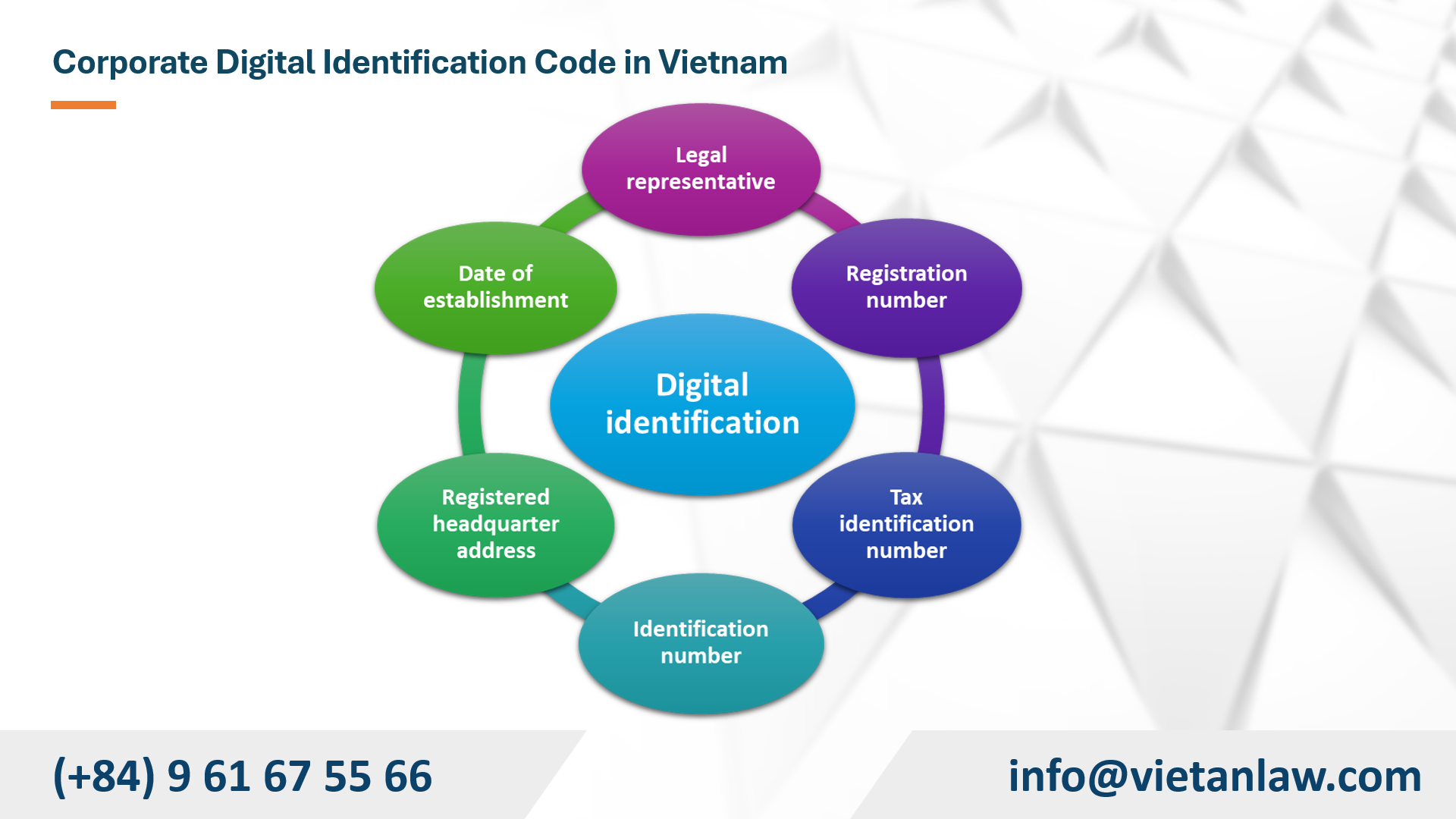 Corporate Digital Identification Codes in Vietnam - Viet An Law