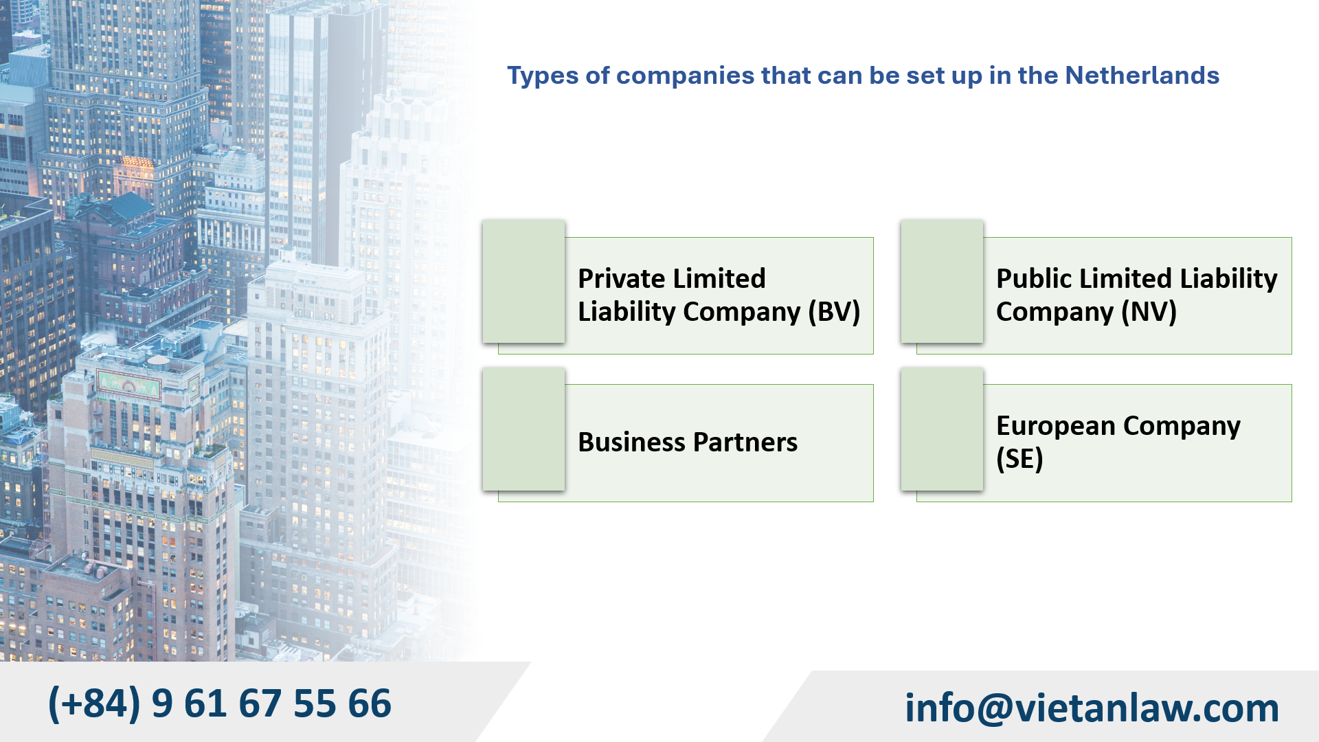 Types of companies that can be set up in the Netherlands - Viet An Law