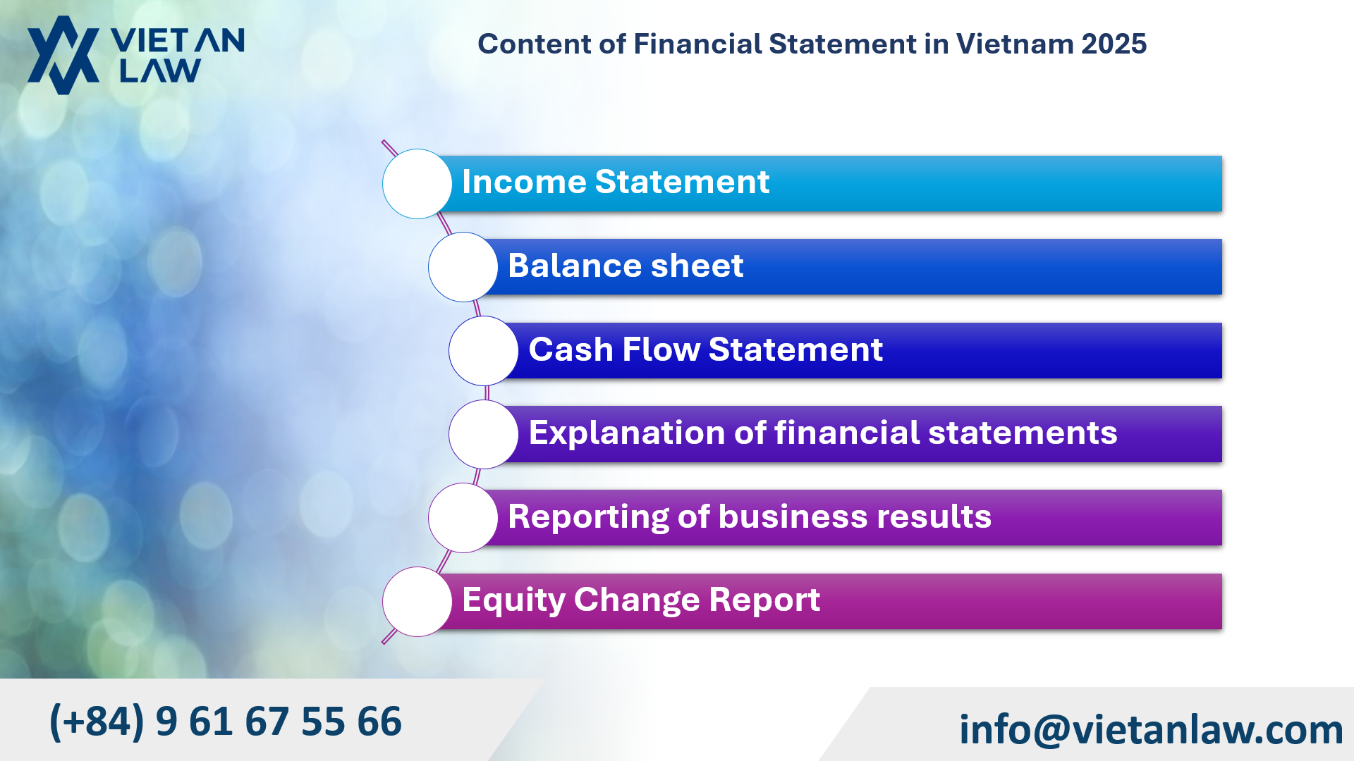 Financial statement services - Viet An Law
