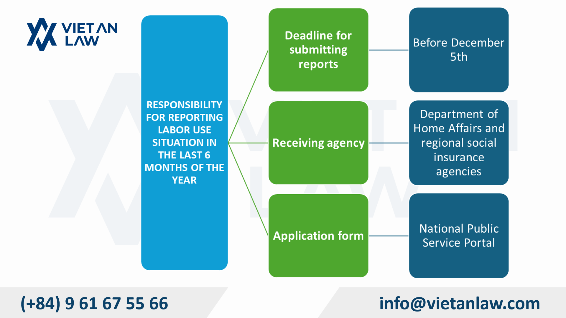 How to Complete the Year-End 6-Month Labor Usage Report in Vietnam ...