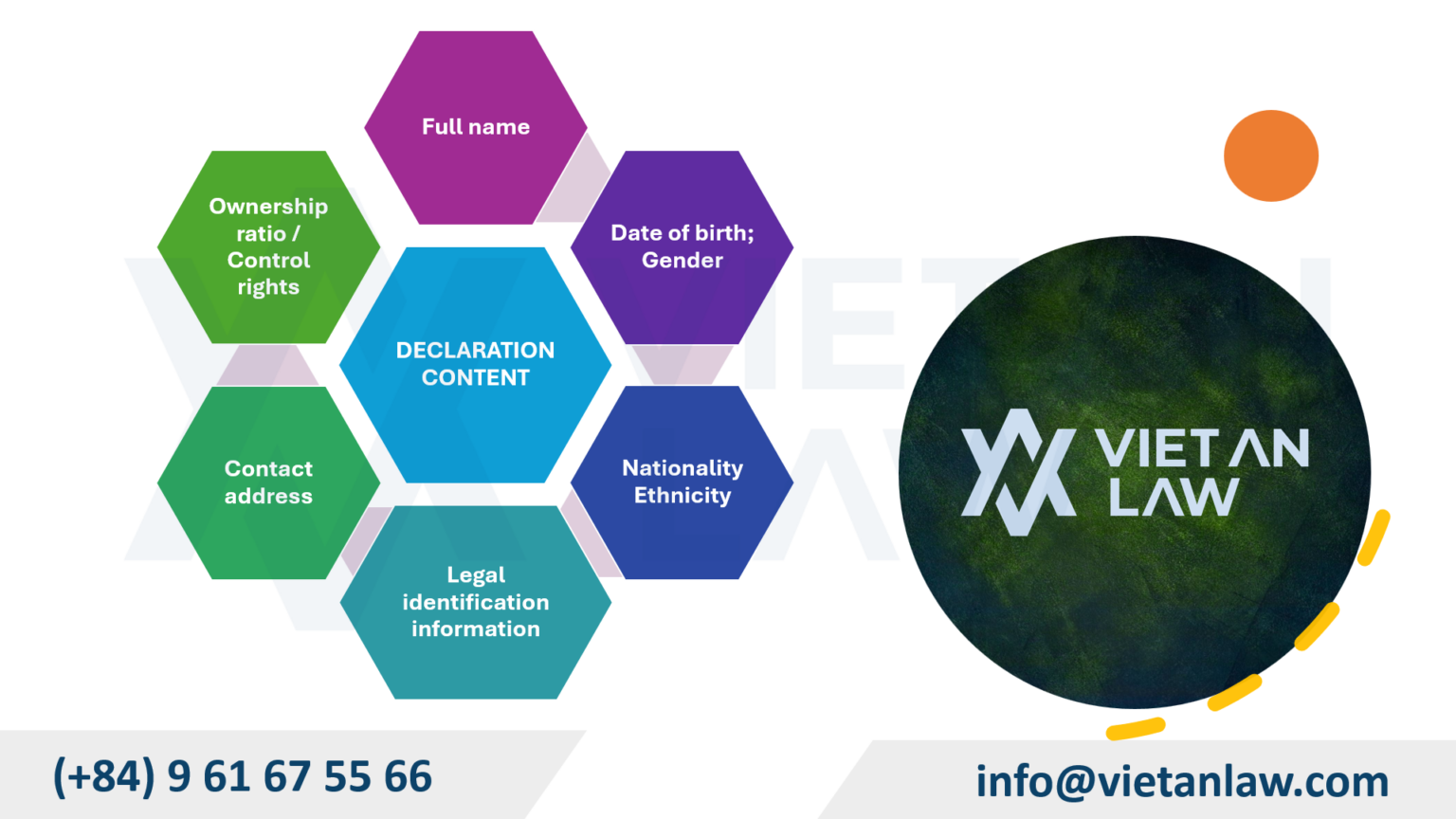 Ultimate Beneficial Owner Declaration Form for Businesses in Vietnam ...